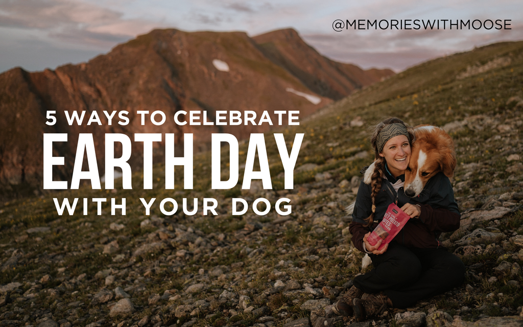 5 Ways to Celebrate Earth Day With Your Dog | Natural Rapport