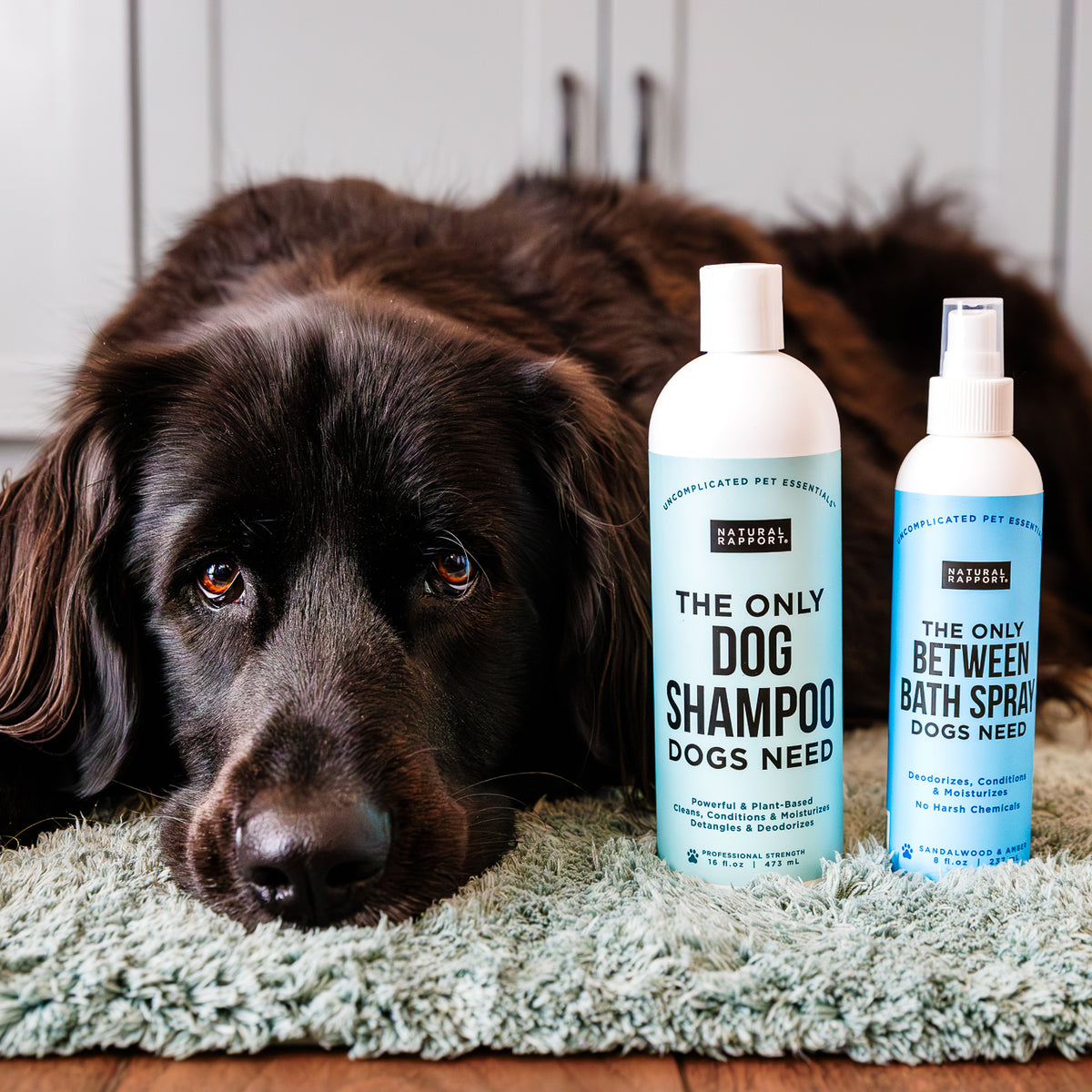 SKIN & COAT SOLUTIONS – Natural Rapport